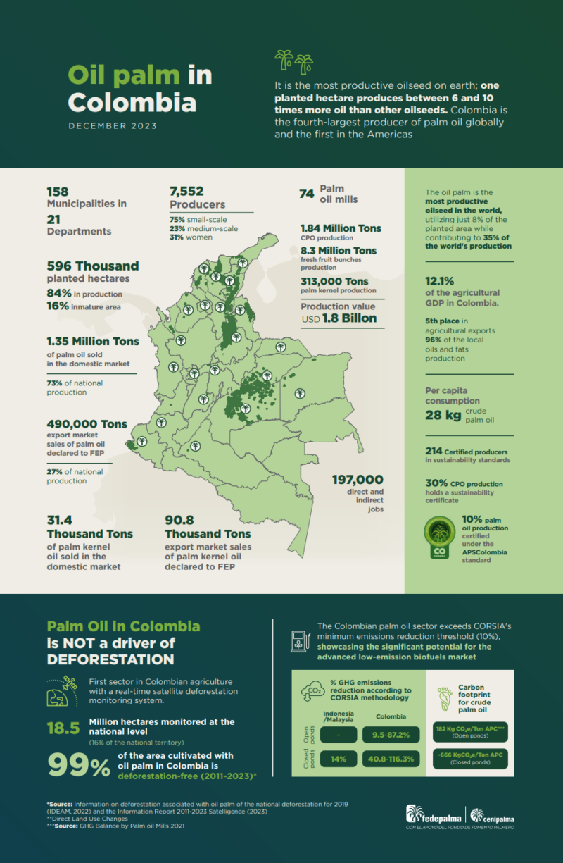 Sustainable Palm Oil: A Closer Look at Colombia's Practices