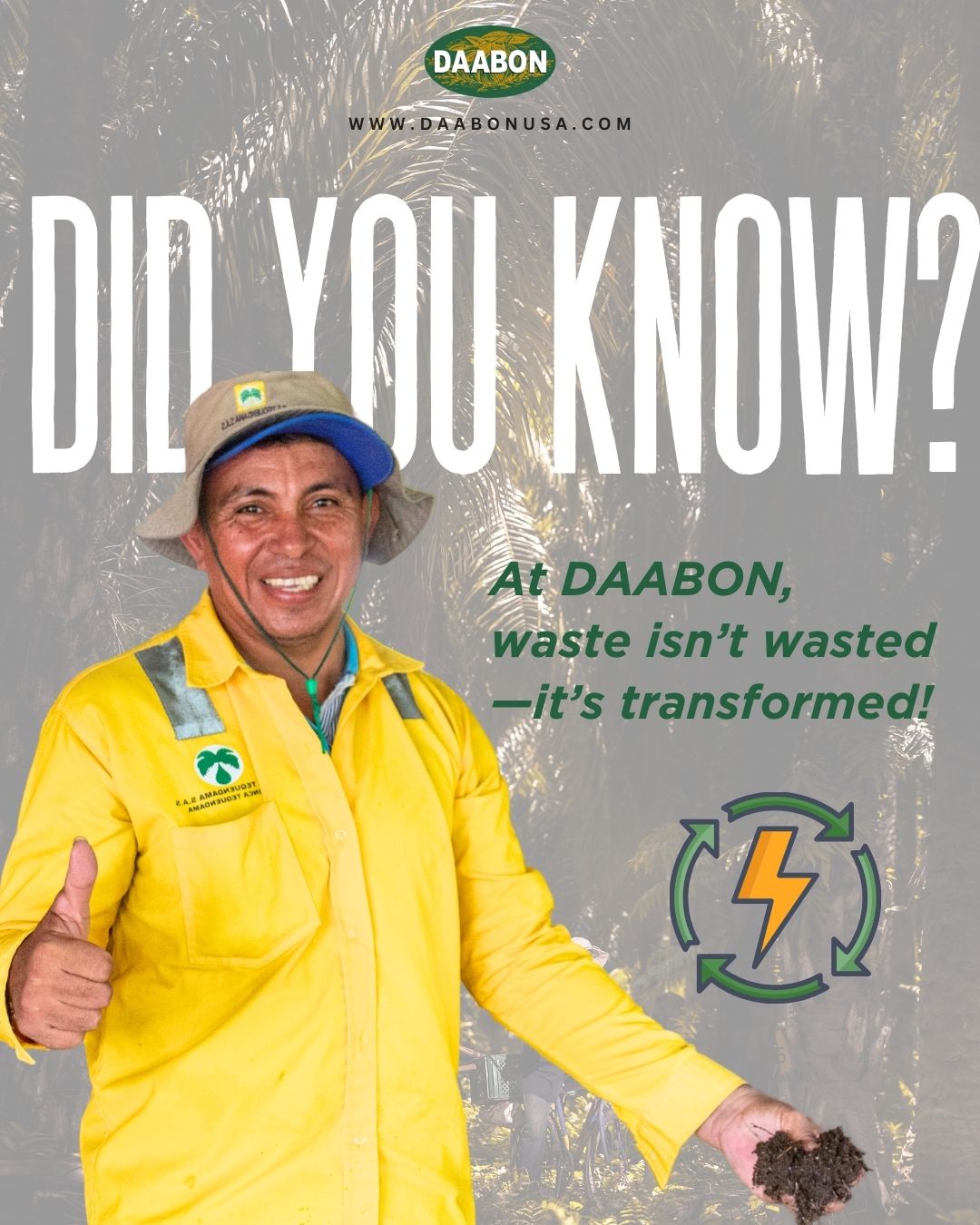 Truth About Palm Oil: How DAABON is Changing the Industry